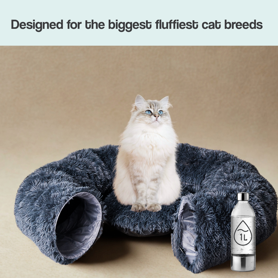 Shop Premium Cat Toys, Catnip, Silvervine, Cat Grass, Tunnels & More ...