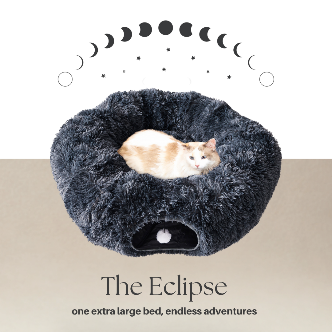 The ECLIPSE Cosy Cat Donut Tunnel Bed Cave – Perfect Hideaway for Cats | The Cat Park