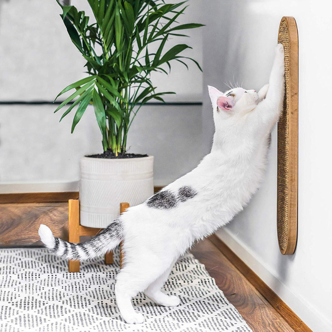 Scratchy Pad Wall Mount Cat Scratcher, Cat Wall Furniture | The Cat Park