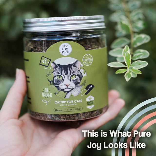 Shop Premium Cat Toys, Catnip, Silvervine, Cat Grass, Tunnels & More ...